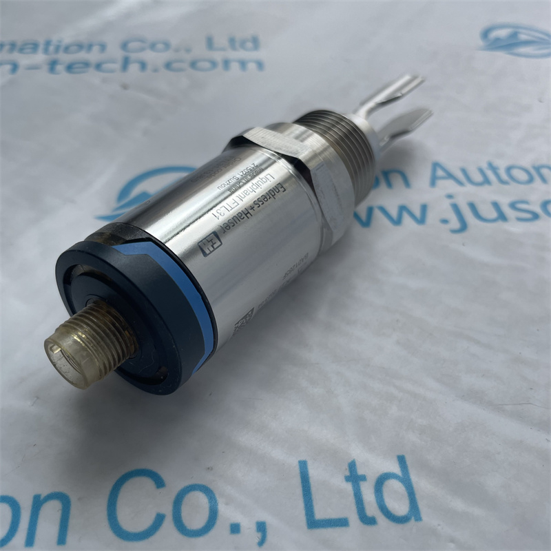 Endress+Hauser tuning fork liquid limit switch FTL31-AA4M2AAW5J - Buy Endress+Hauser tuning fork ...